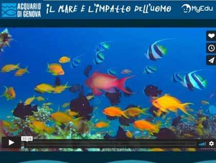 MyEdu, la piattaforma didattica digitale per lo studio a casa e a scuola